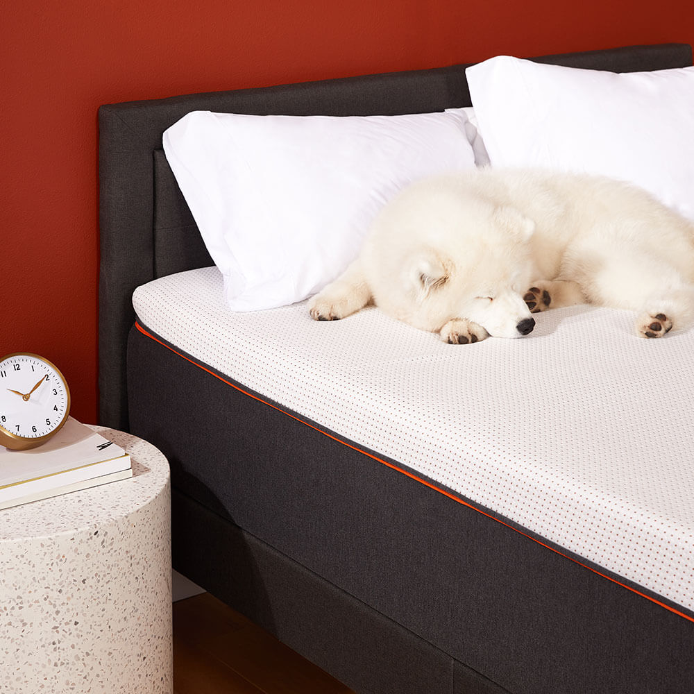 OSGO HOME | Unlimited furniture selection for every style